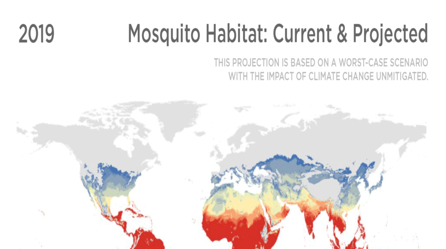 World map showing current and projected habitats of the Aedes aegypti ...