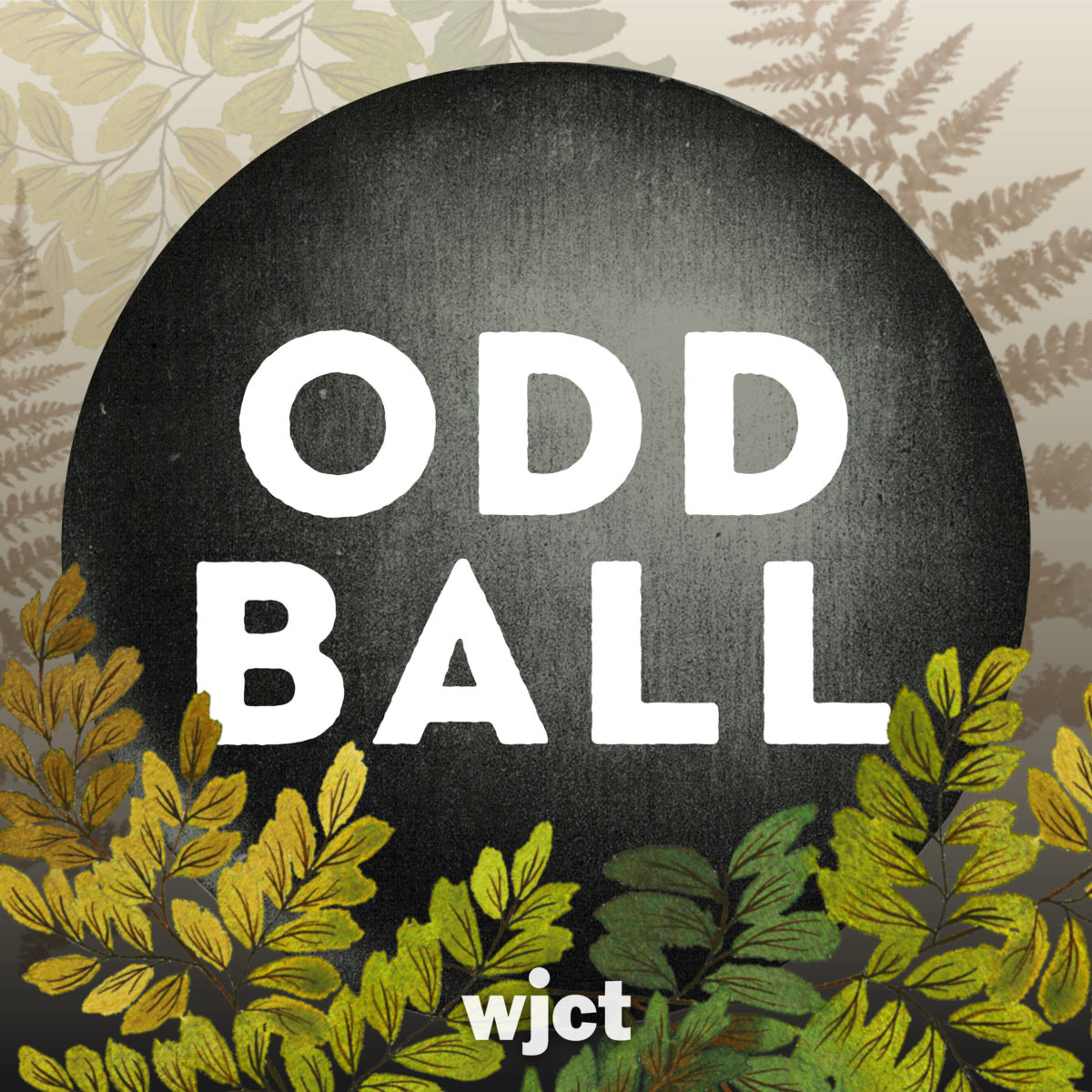 Odd Ball Podcast - WJCT Public Media